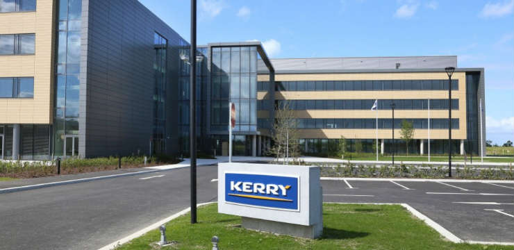 Kerry Foods Case Study | Rocket Consulting